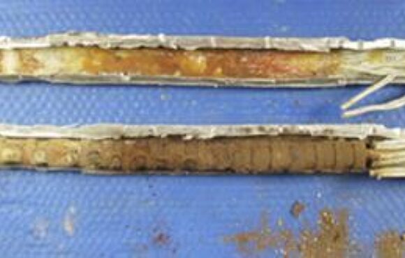 Connector Labs | Kinectrics